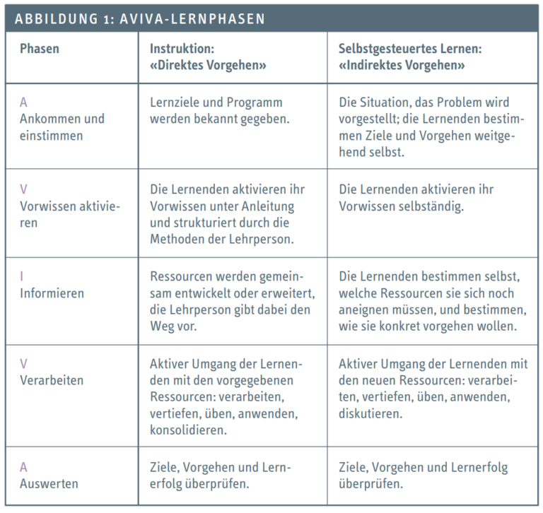 AVIVA-Modell – Simon Boller